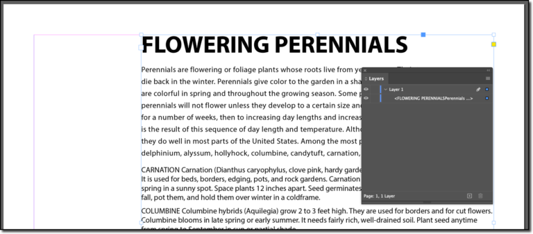 Adobe InDesign: Layer basics – Rocky Mountain Training