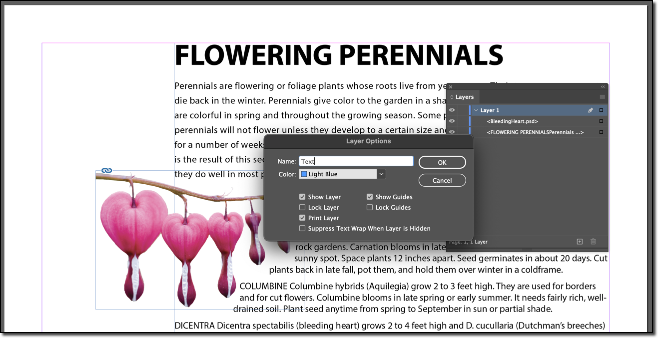 Adobe InDesign: Layer basics – Rocky Mountain Training