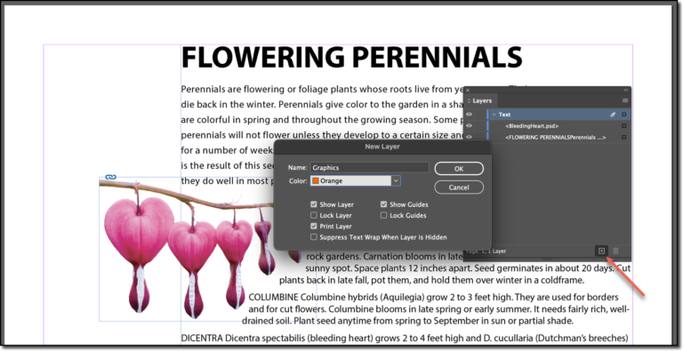 Adobe InDesign: Layer basics – Rocky Mountain Training