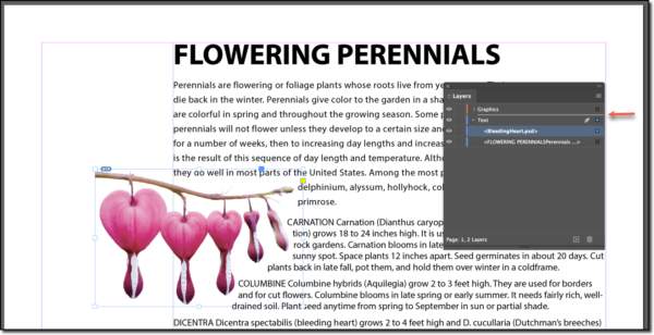 Adobe InDesign: Layer basics – Rocky Mountain Training